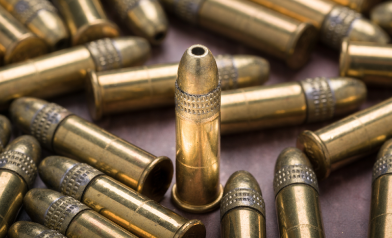 Are .22-Caliber Weapons Enough for Personal Defense? » Concealed Coalition